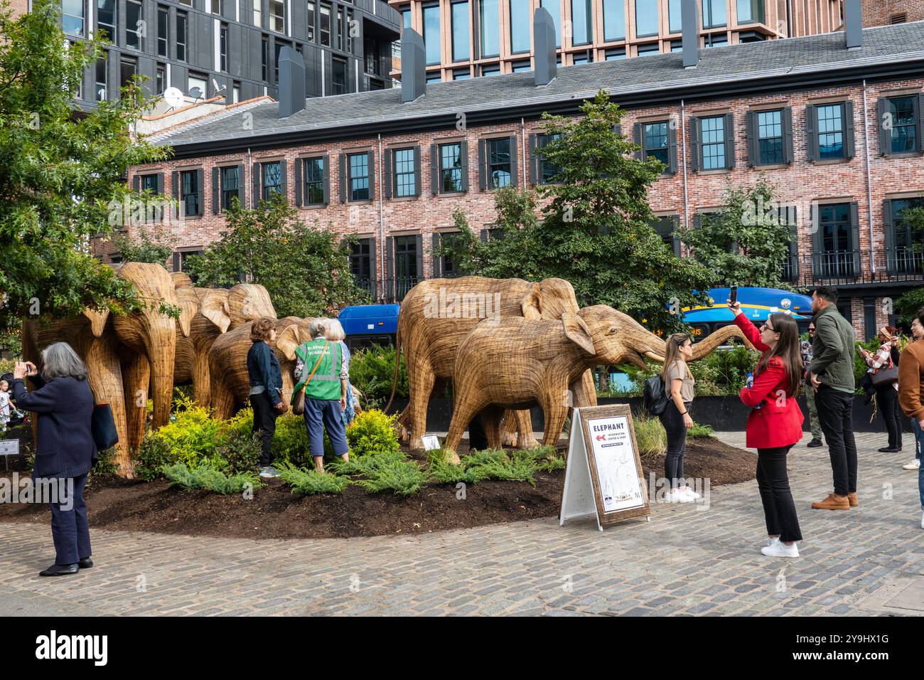 The great elephant migration, public art display features life-size ...