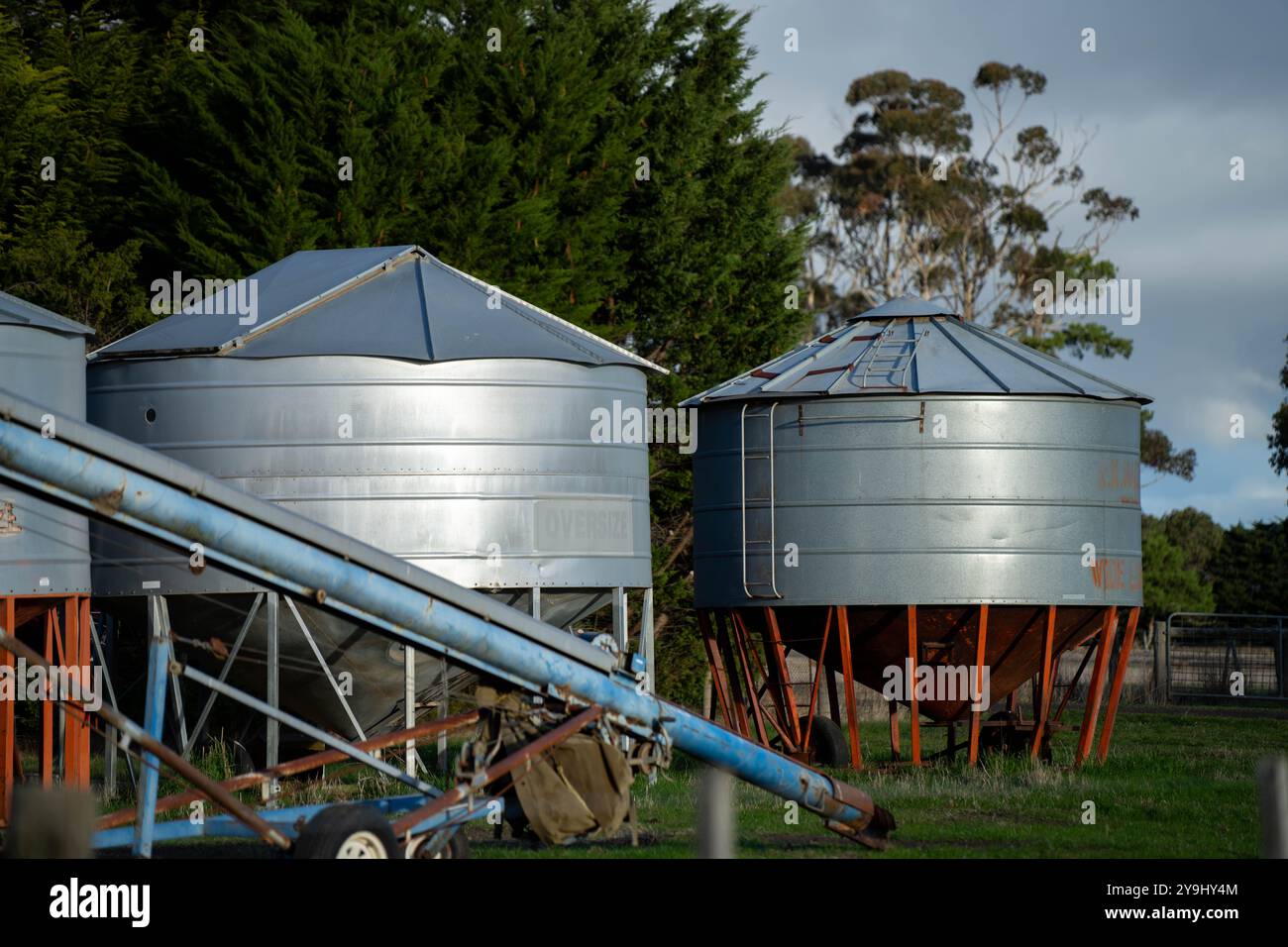 jacky bin and silos for grain on a farm in australia in summer Stock Photo - Alamy