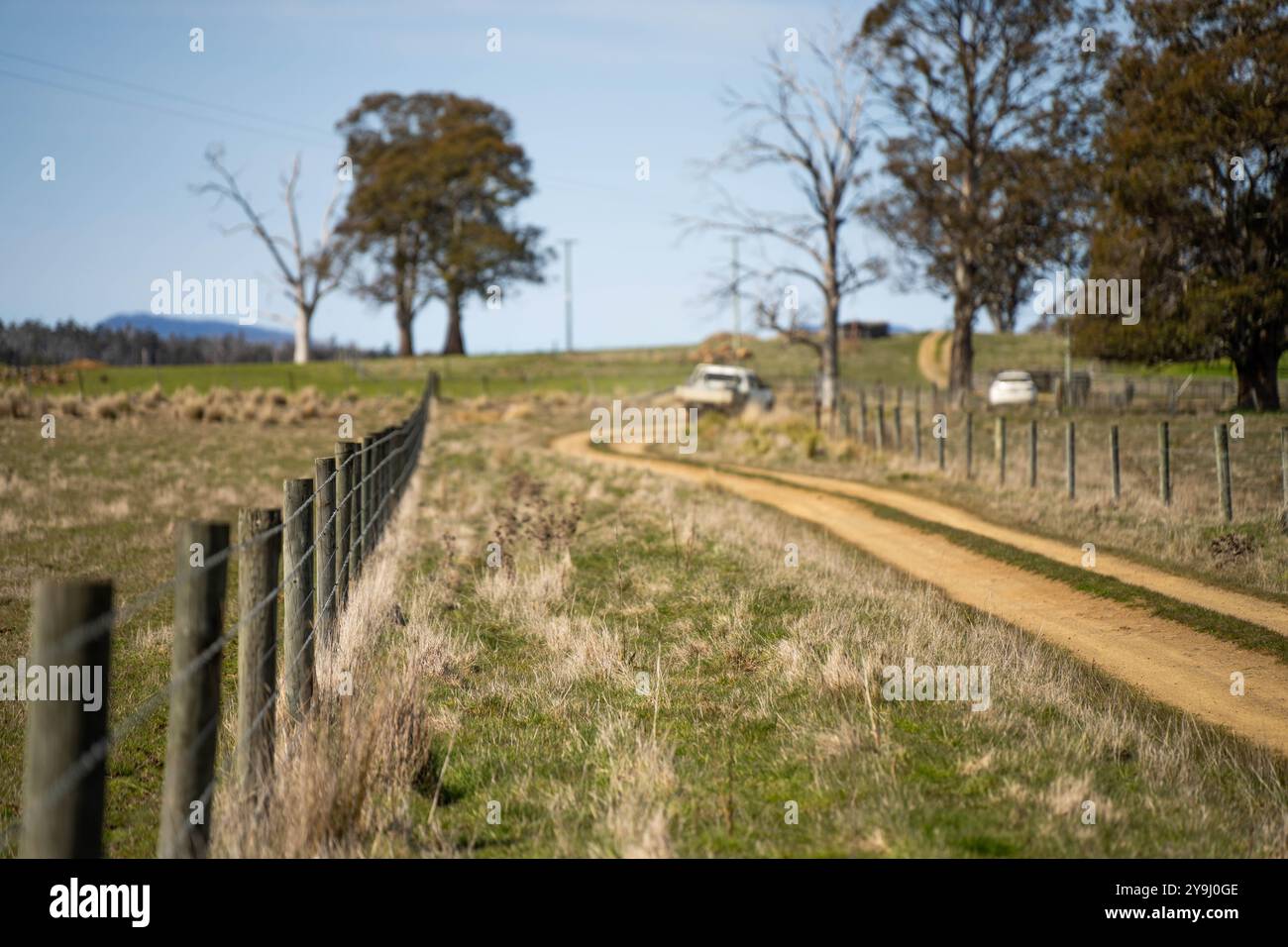 driving down a dirt road gravel road in outback australia in a ute ...