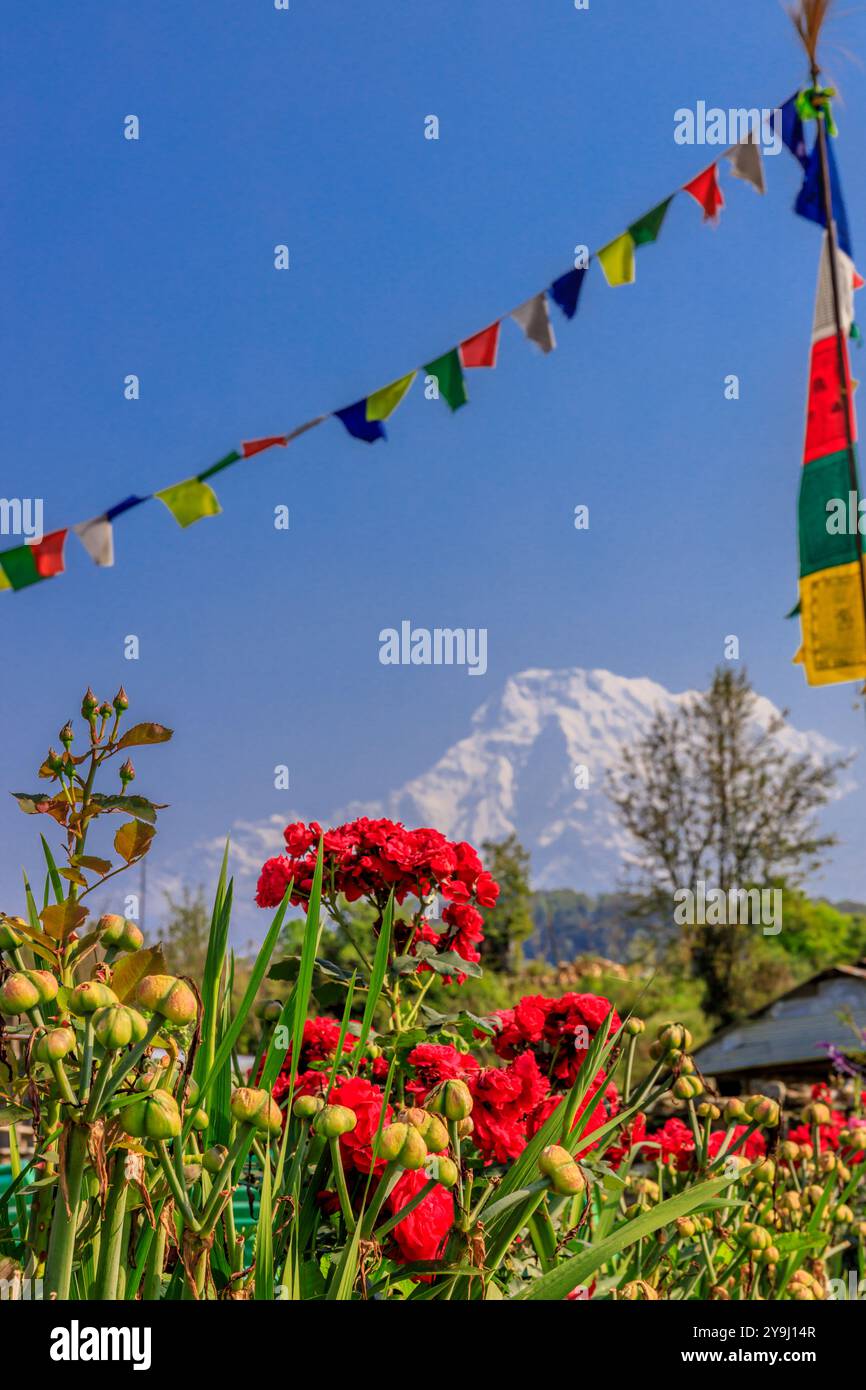 Traditional tibetian prayer flags in Himalaya mountains in Nepal ...