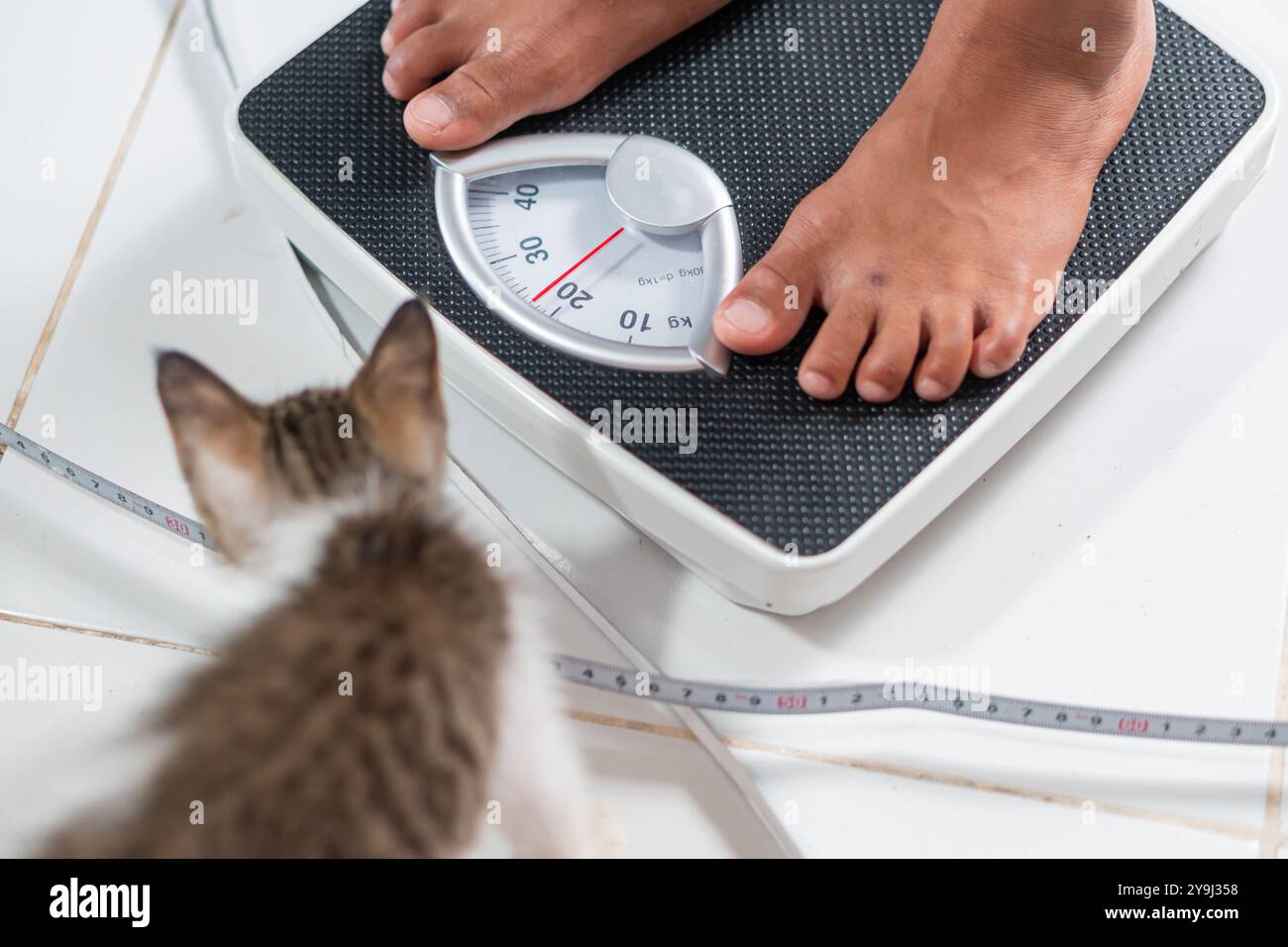 A person weighing themselves on a scale with a curious kitten nearby ...