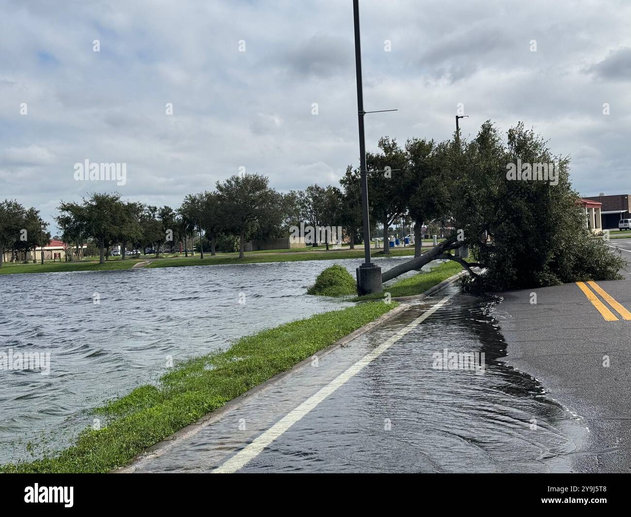 A downed tree is shown on a road at MacDill Air Force Base, Florida ...