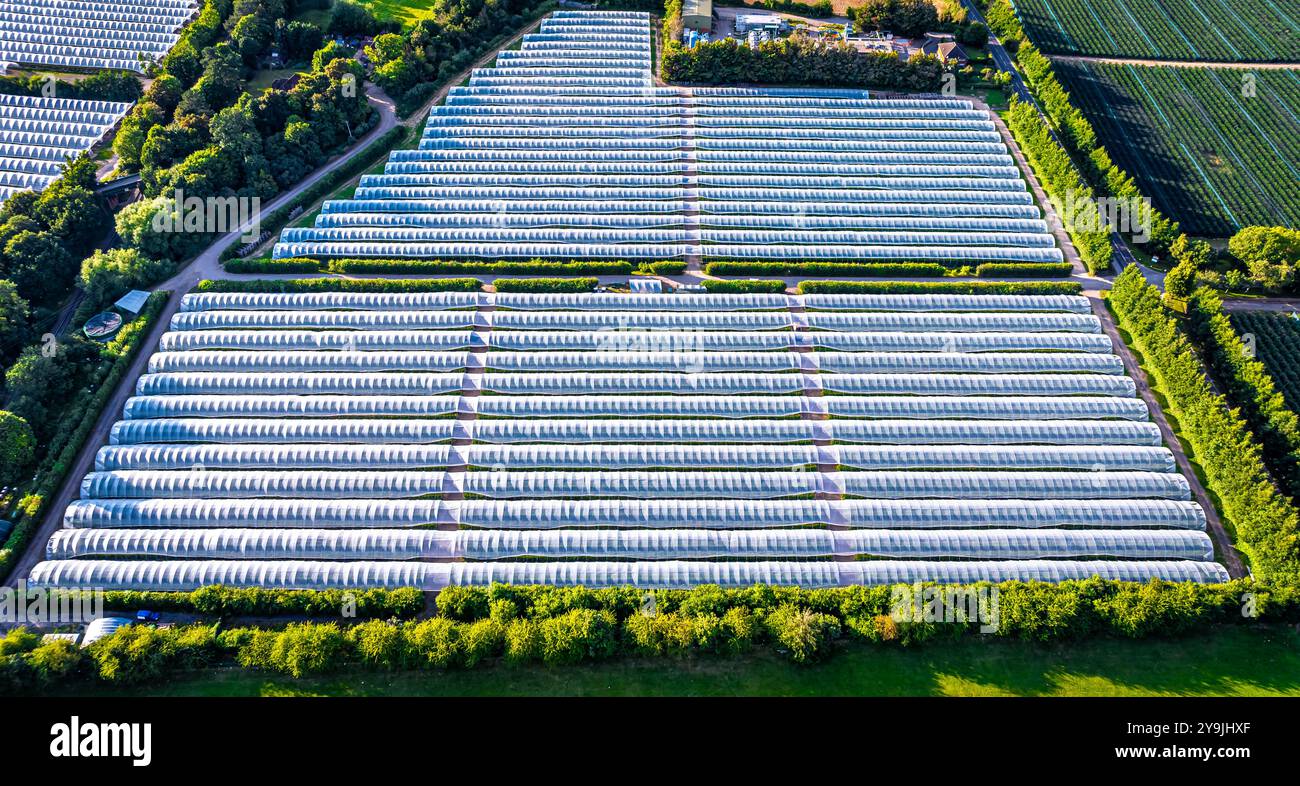 Aerial view of industrial greenhouse farms in agricultural part of ...