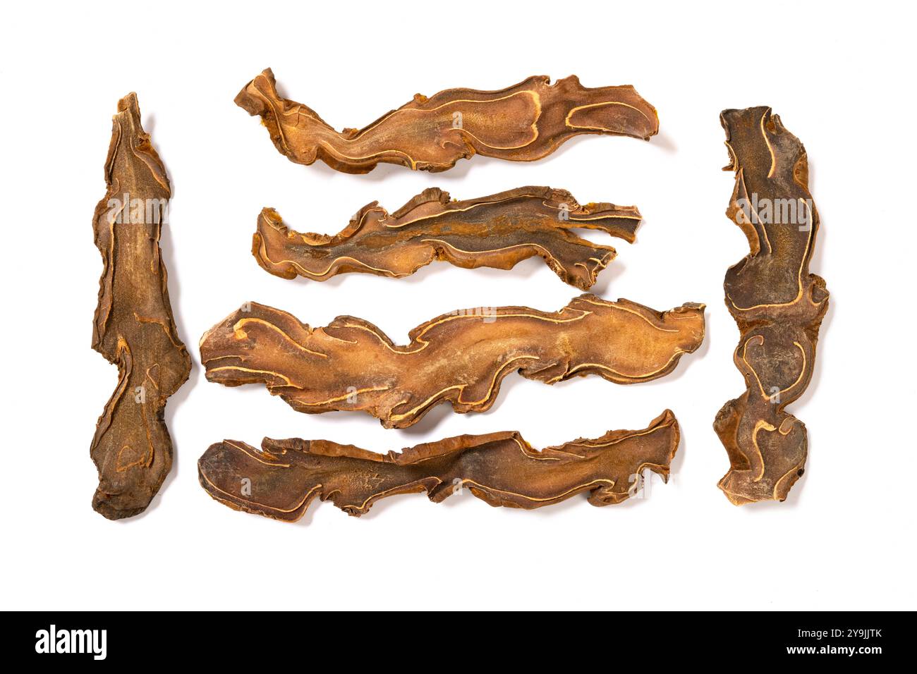 East asian tree fern hi-res stock photography and images - Alamy