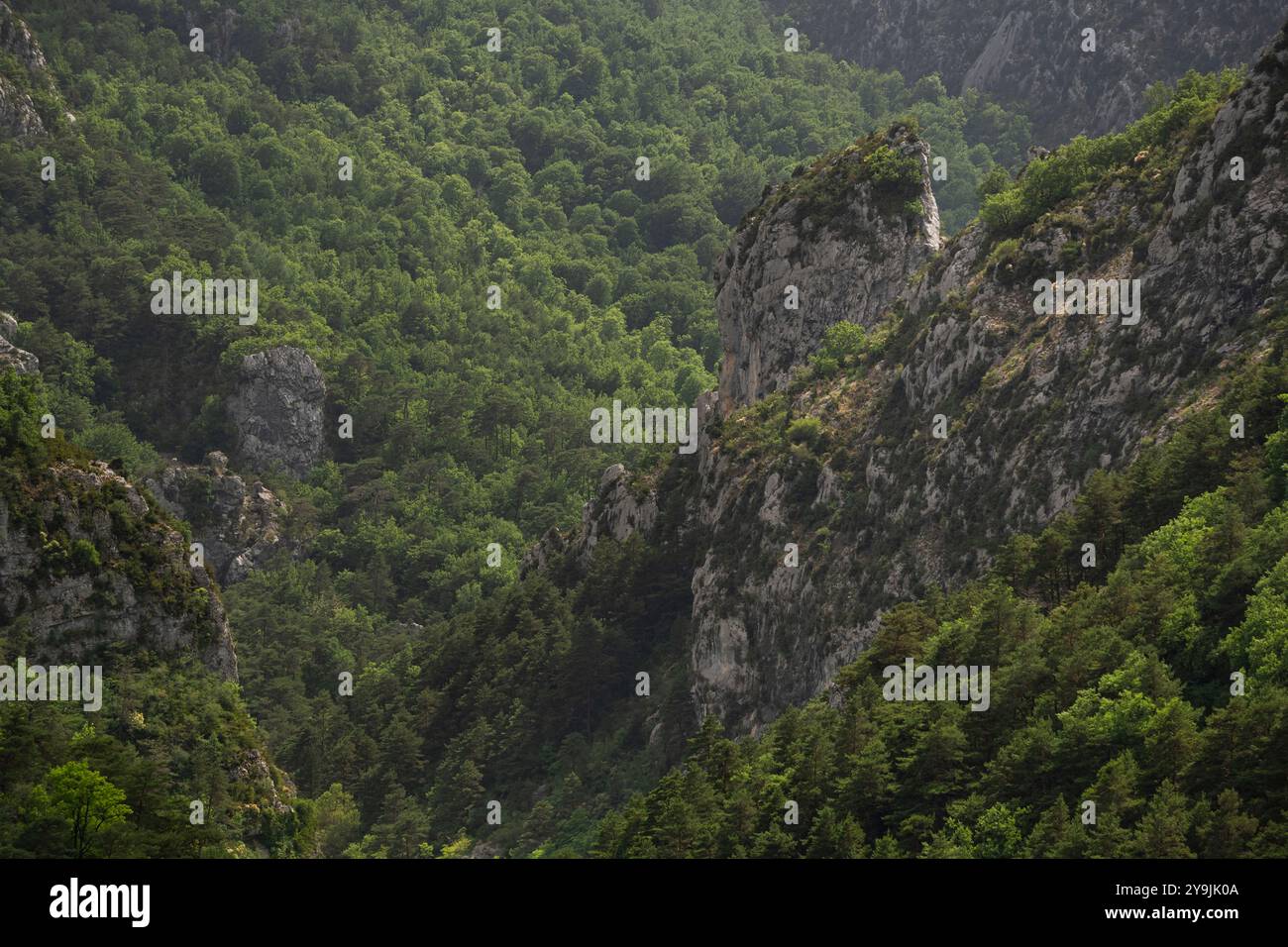 Verdant Cliffs and Dense Vegetation in the Verdon Gorge, France Stock ...