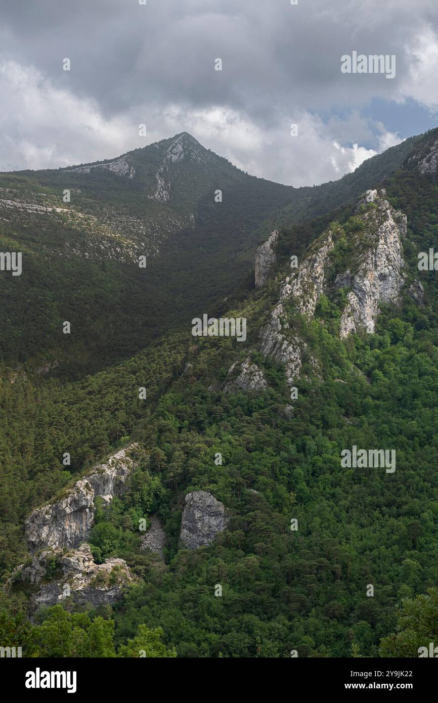 Verdant Cliffs and Dense Vegetation in the Verdon Gorge, France Stock ...