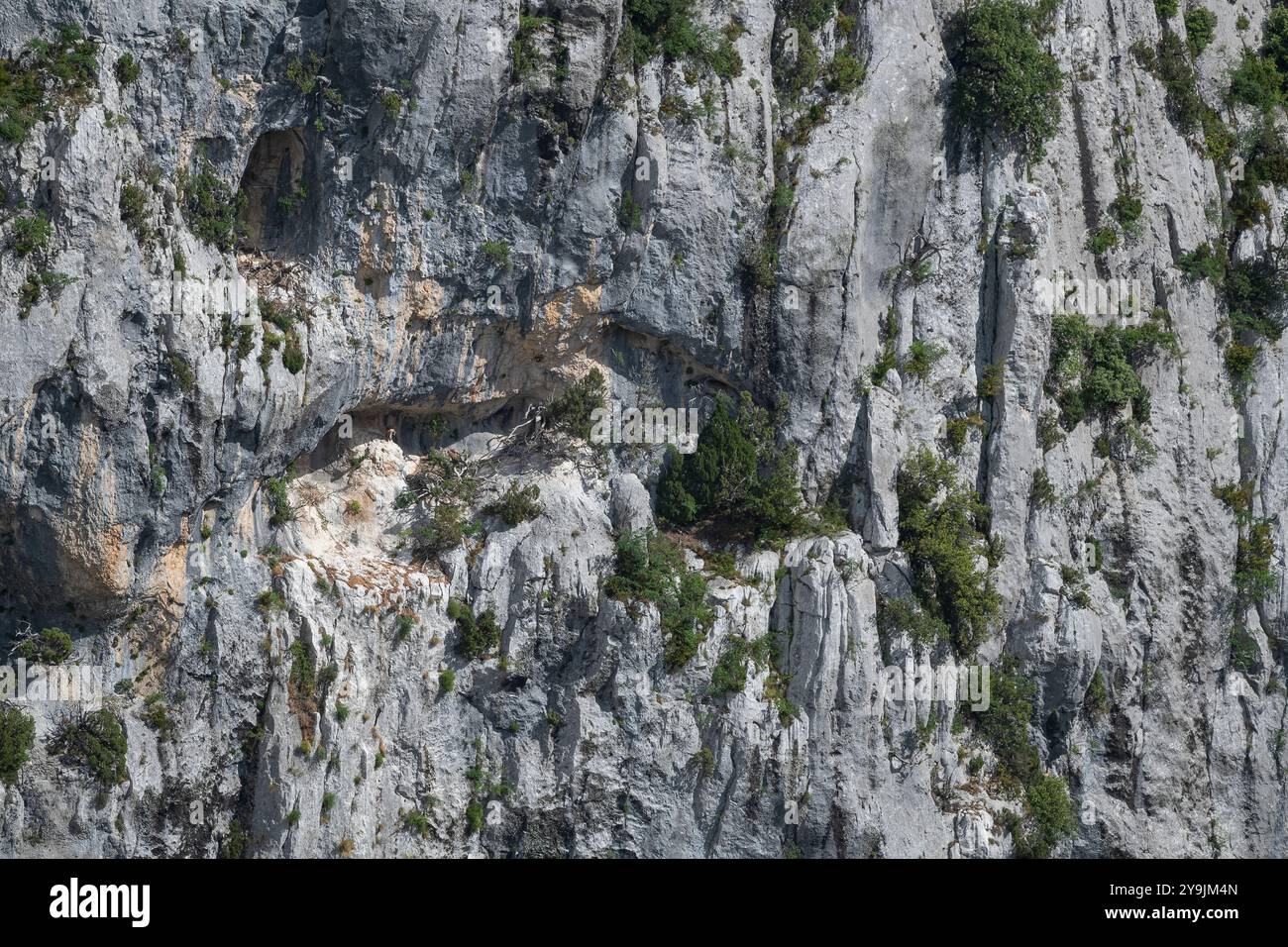 Detailed Close-Up of Limestone Cliffs and Rock Textures in the Verdon ...