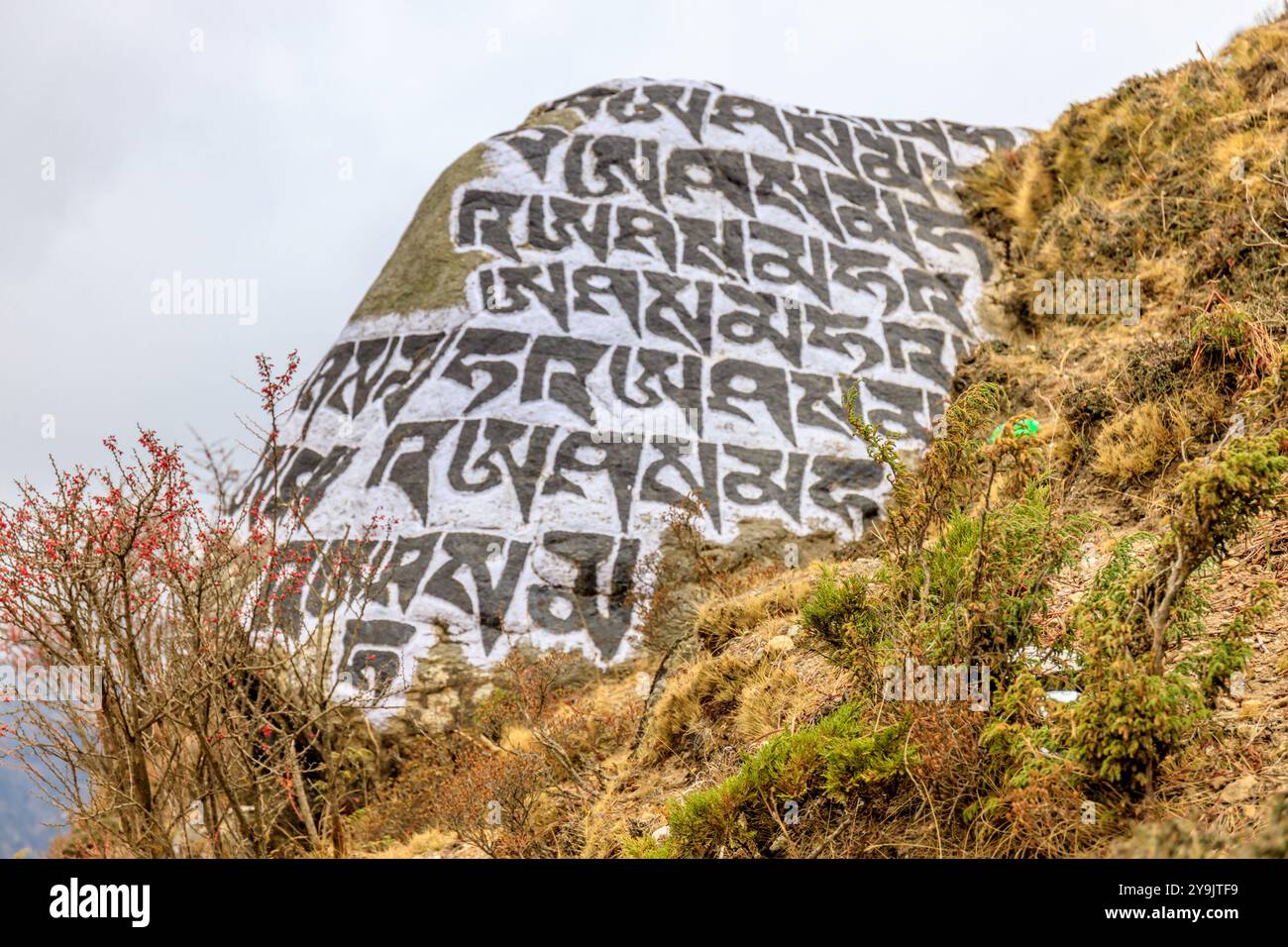Mani stones with sacred symbols in Nepal Himalaya mountains standing ...