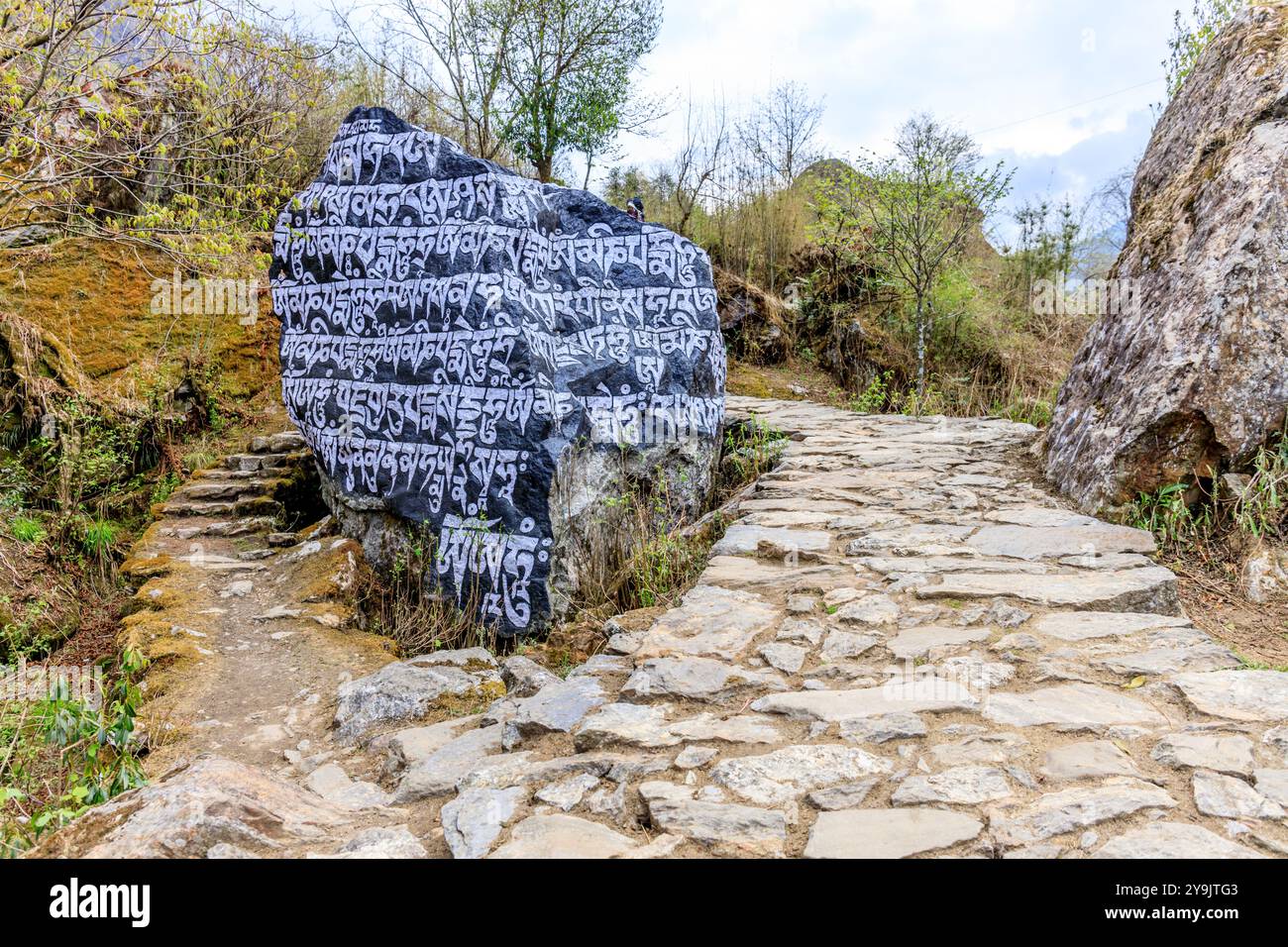 Mani stones with sacred symbols in Nepal Himalaya mountains standing ...