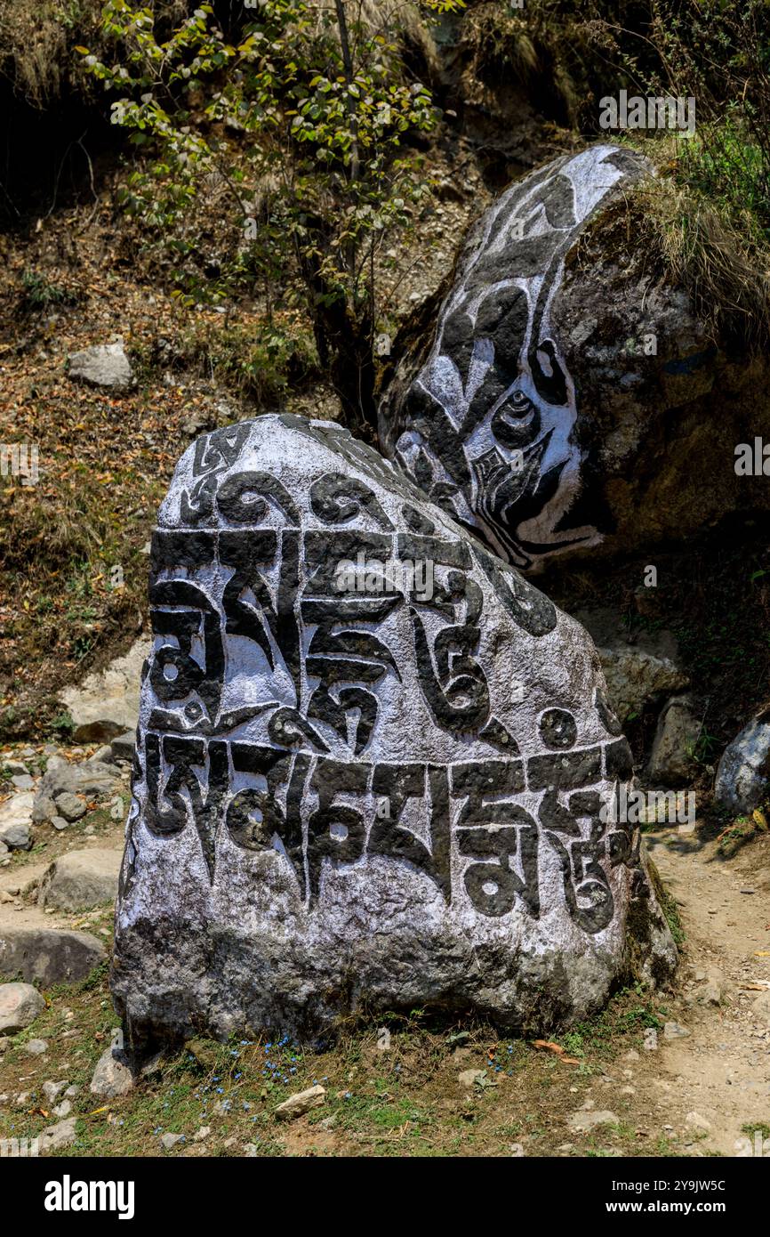 Mani stones with sacred symbols in Nepal Himalaya mountains standing ...