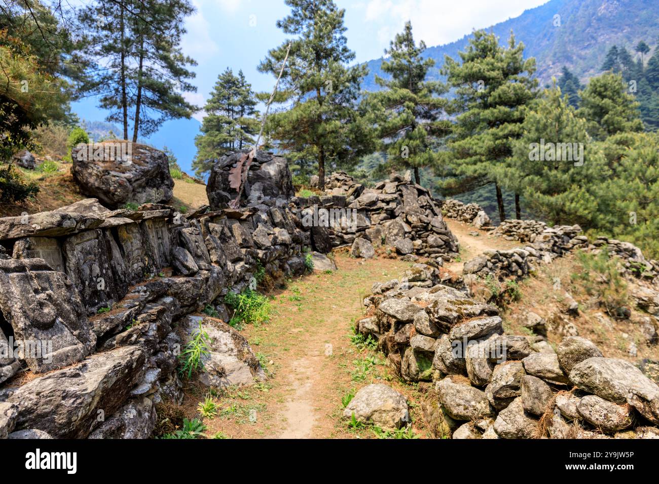Mani stones with sacred symbols in Nepal Himalaya mountains standing ...