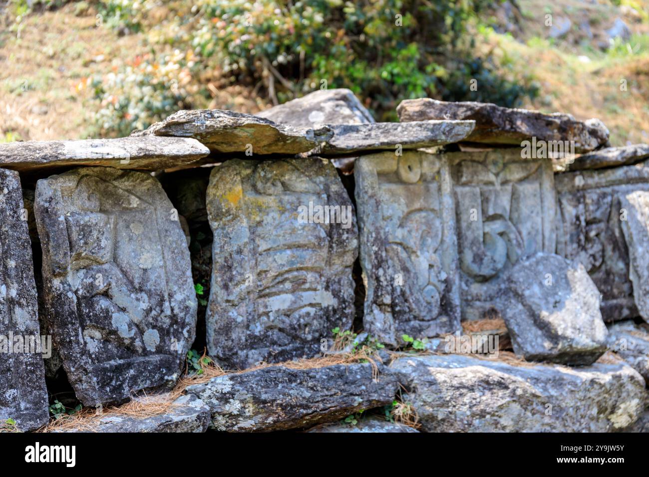 Mani stones with sacred symbols in Nepal Himalaya mountains standing ...