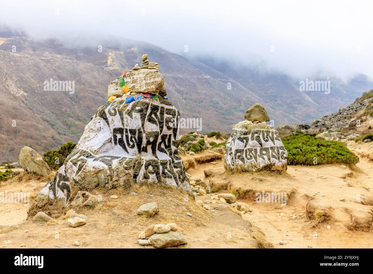 Mani stones with sacred symbols in Nepal Himalaya mountains standing ...