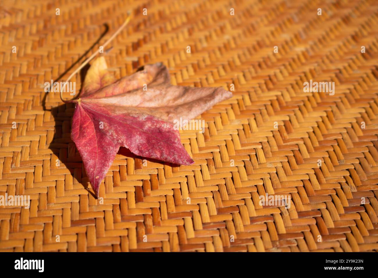 Straw leaf hi-res stock photography and images - Alamy