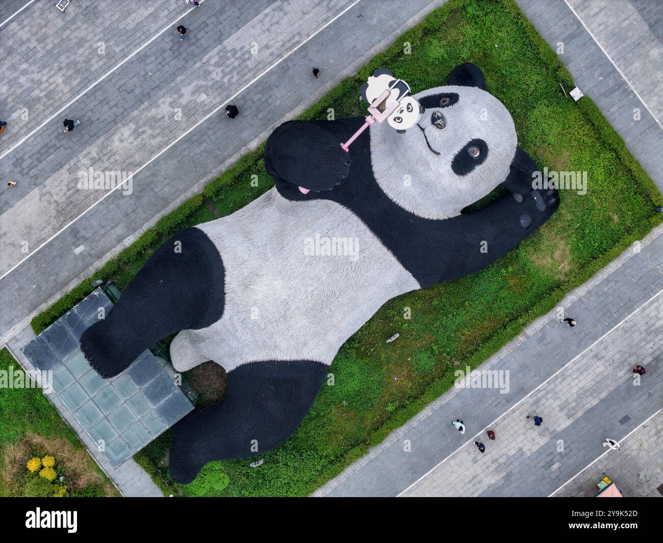 An aerial view of 26-meter-long sculpture of a giant panda, lying on ...