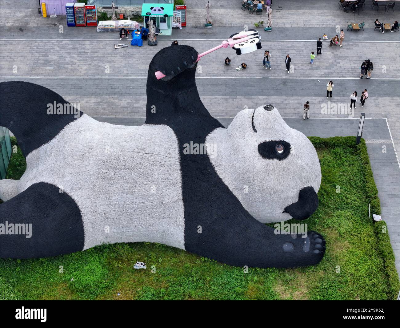 A view of 26-meter-long sculpture of a giant panda, lying on the lawn ...