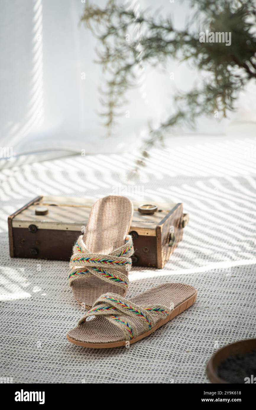 Animal pattern slippers hi-res stock photography and images - Alamy