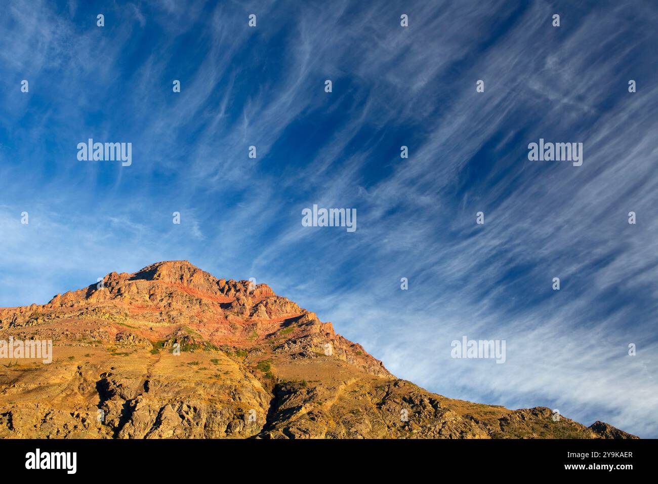 Rising Wolf Mountain, Glacier National Park, Montana Stock Photo - Alamy