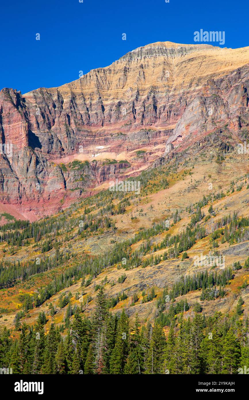Rising Wolf Mountain, Glacier National Park, Montana Stock Photo - Alamy