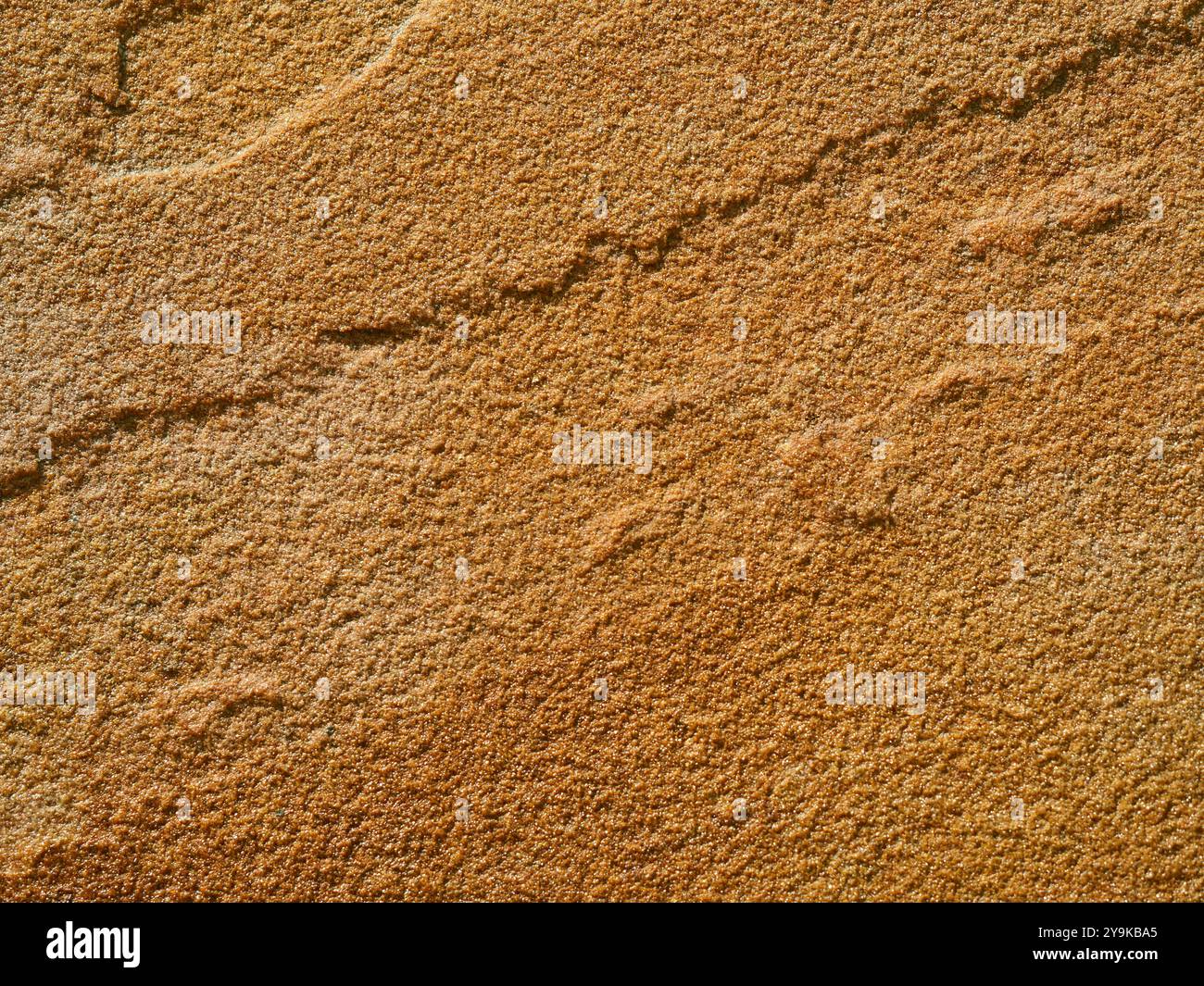 Yellow sandstone Surface structure and grain pattern Stock Photo - Alamy