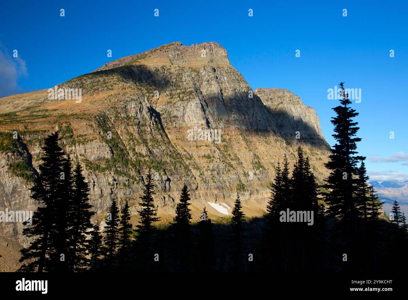 Mount Oberlin from Highline Trail, Glacier National Park, Montana Stock ...
