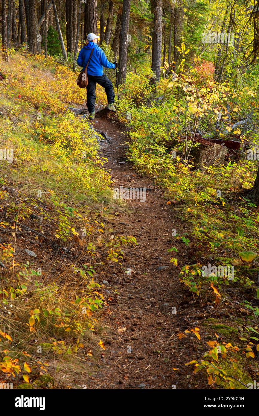 Boulder Pass Trail, Glacier National Park, Montana Stock Photo - Alamy