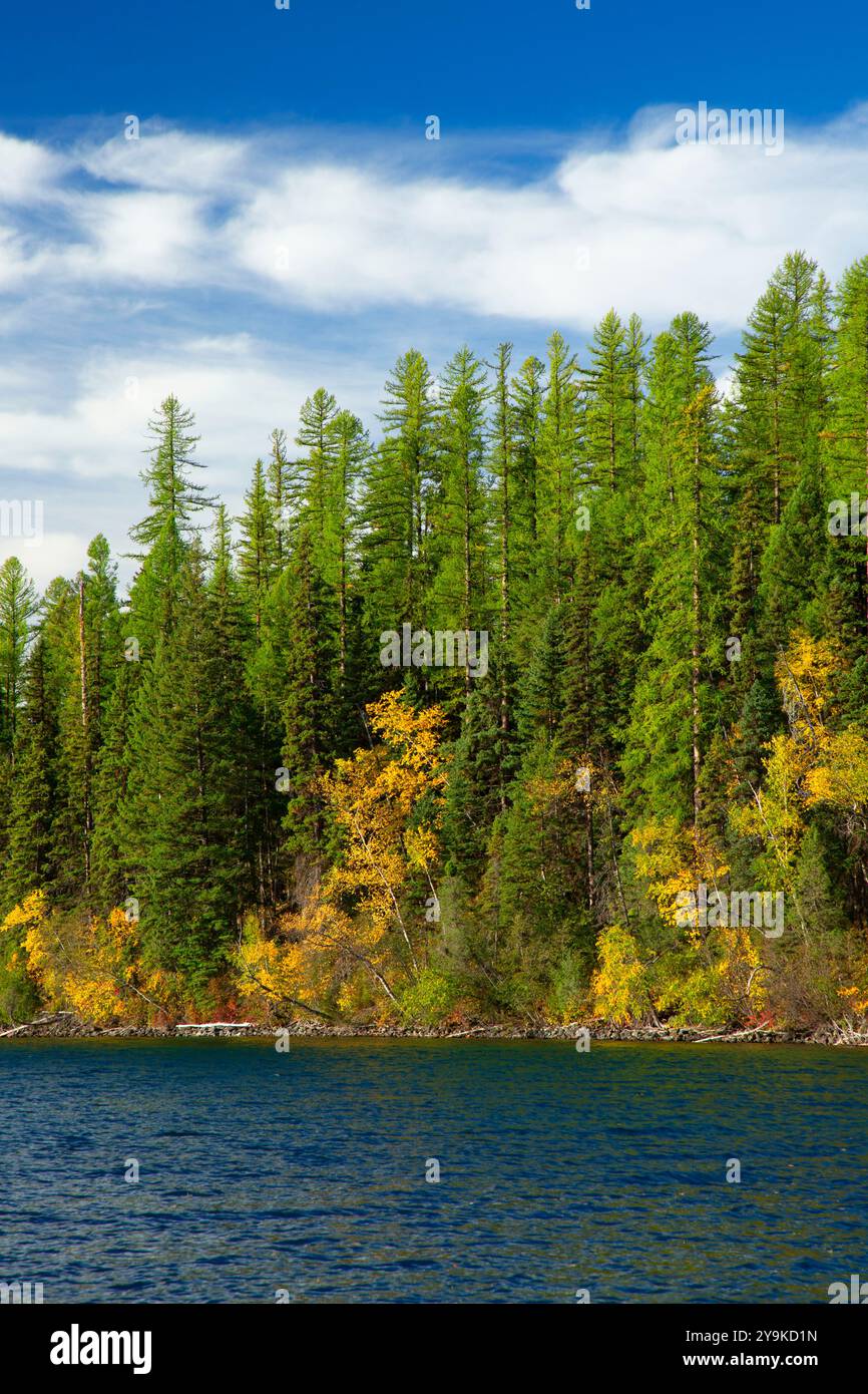 Kintla Lake from Boulder Pass Trail, Glacier National Park, Montana ...