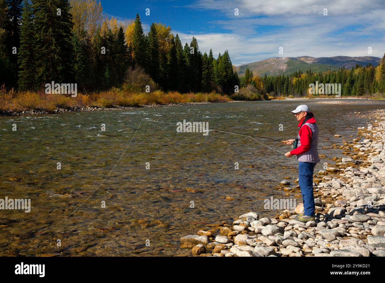 Fly fishing the North Fork Flathead Wild and Scenic River, Glacier National Park, Montana Stock ...