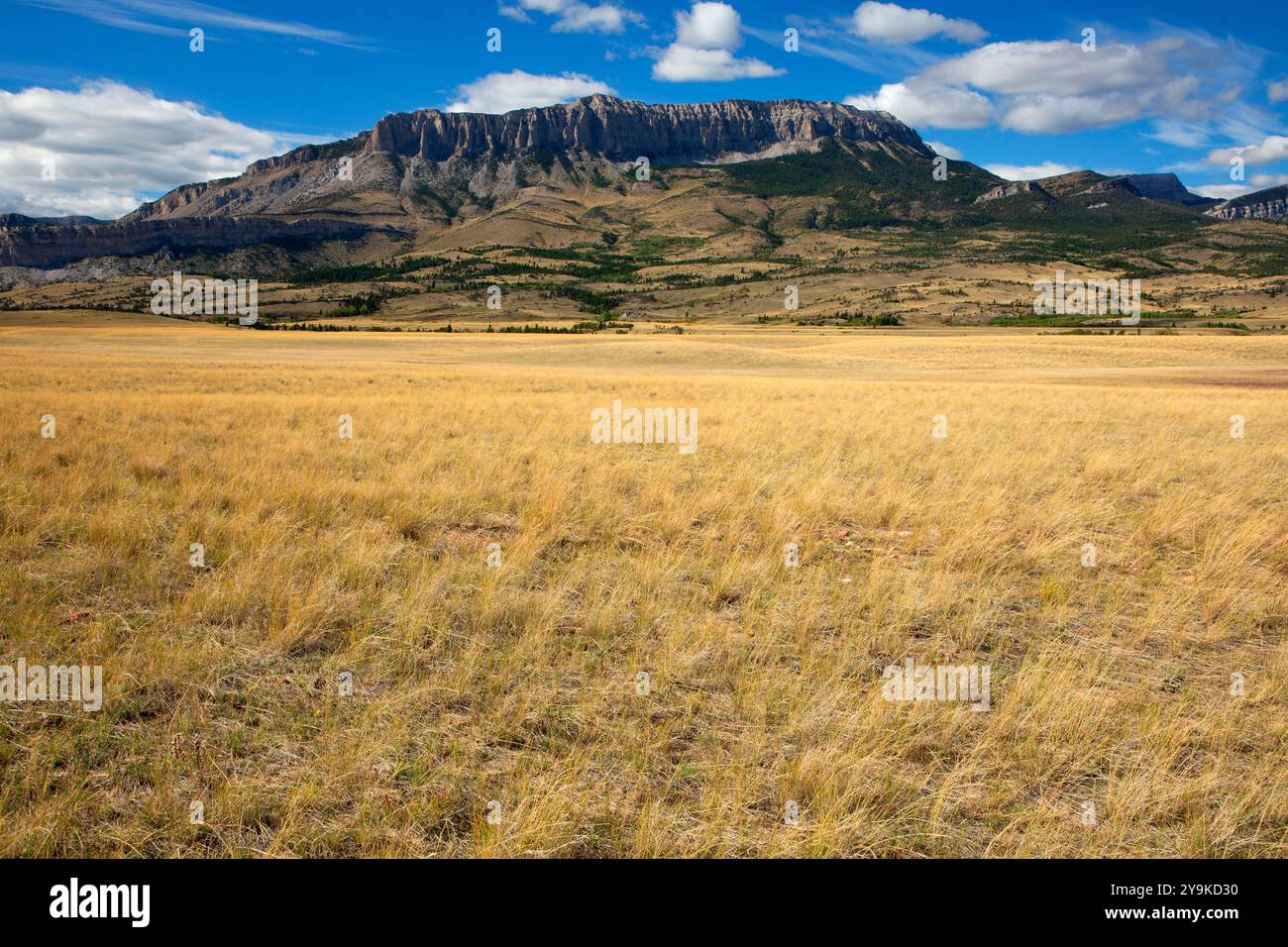 Prairie grassland to Castle Reef, Sun River Wildlife Management Area ...