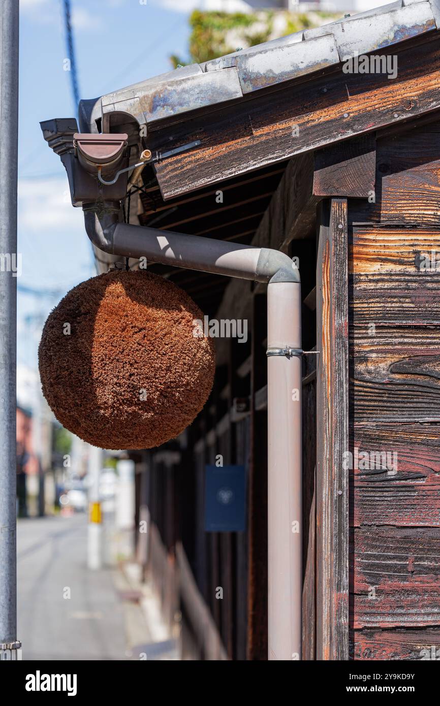 A Sugidama ball hangs from the eaves of a Sakegura, or traditional ...