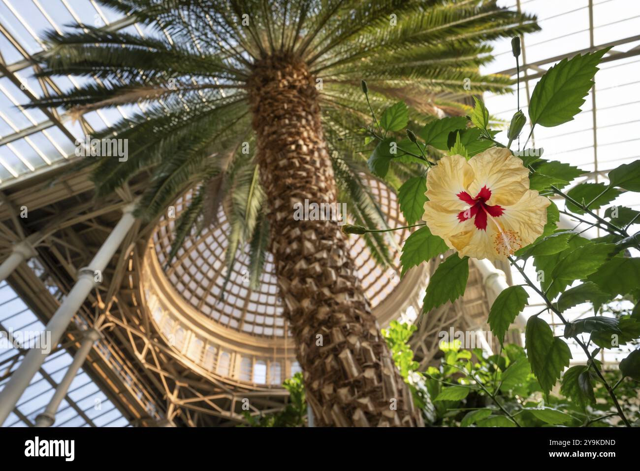 Vilhelm dahl hi-res stock photography and images - Alamy