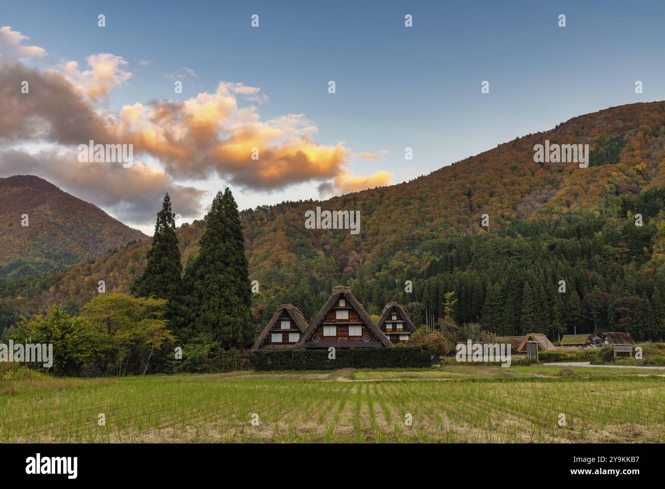 Shirakawago village Gifu Japan, Historical Japanese traditional Gassho ...