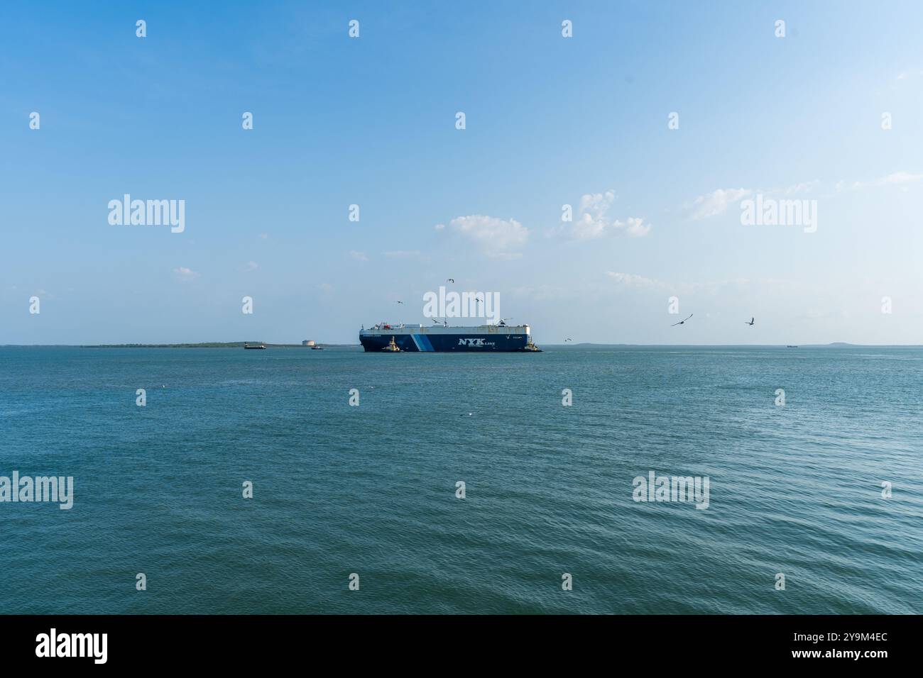 Large cargo ship in Darwin Harbour Stock Photo - Alamy