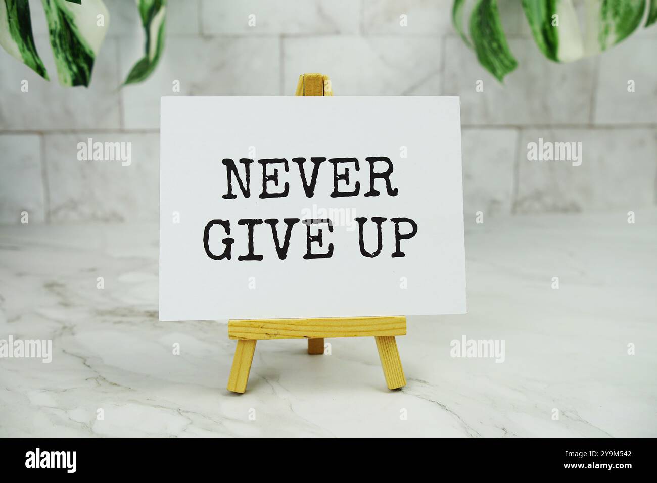 Never Give up text on paper card with wooden easel stand Stock Photo ...