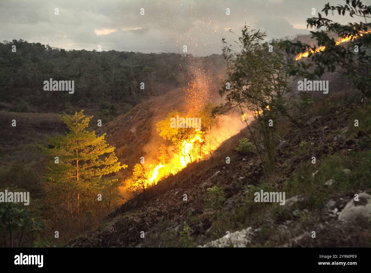 Global landfire hi-res stock photography and images - Alamy
