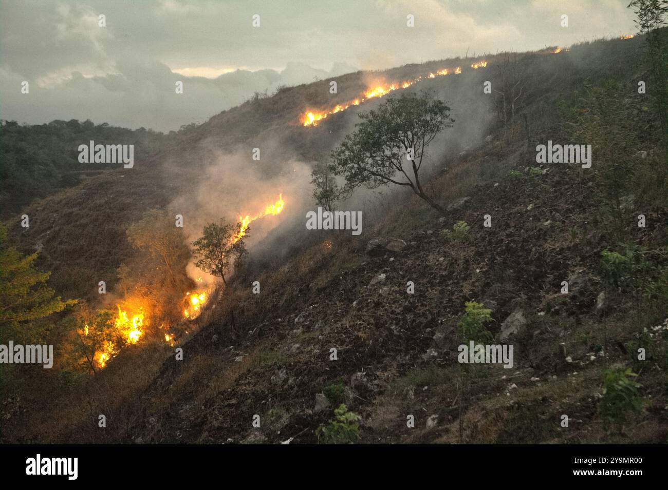 Landfire on a dry grassland during dry season on the outskirts of ...