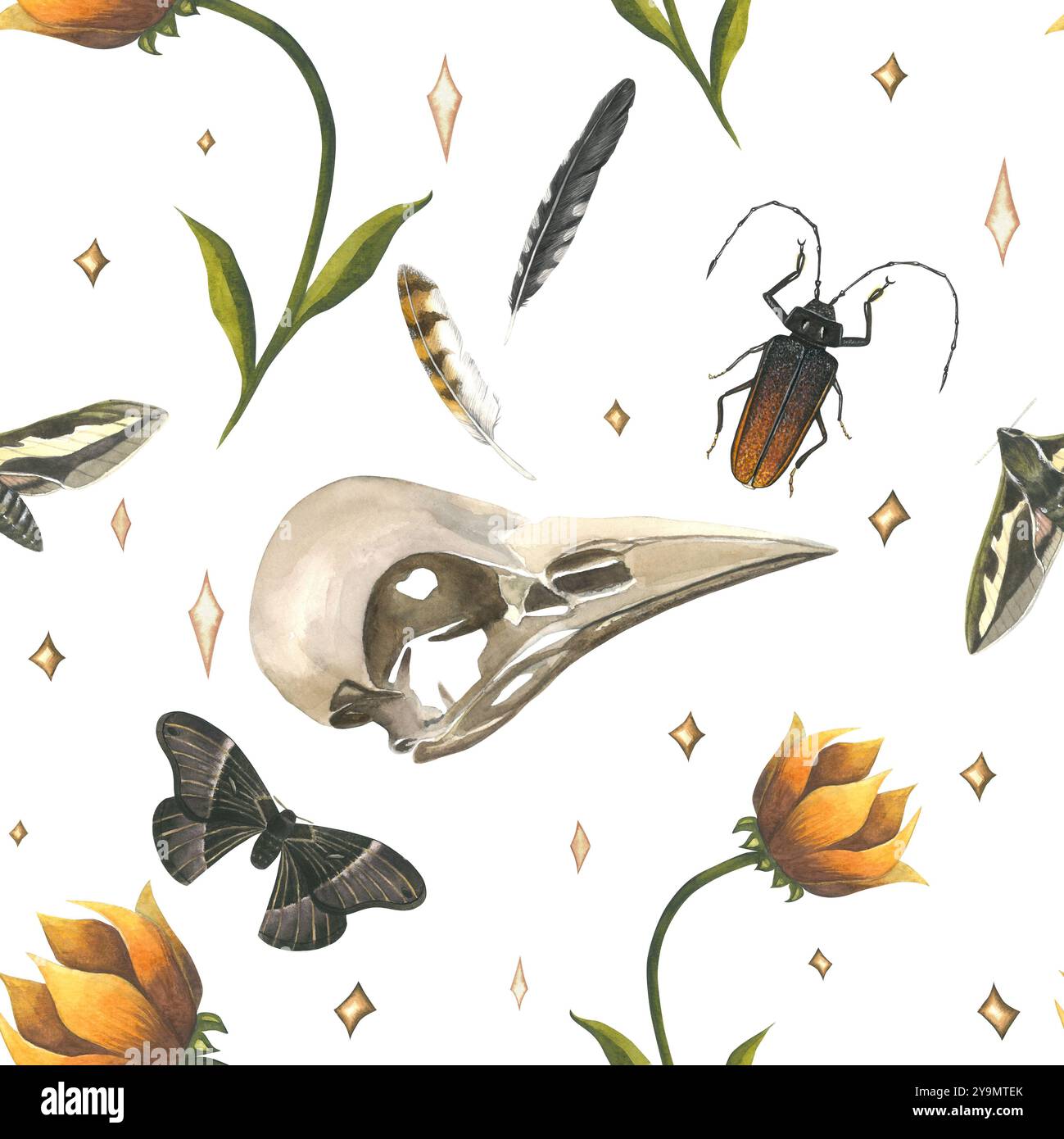 Skulls of a raven, butterfly, moth, beetle, bird feathers and flower ...