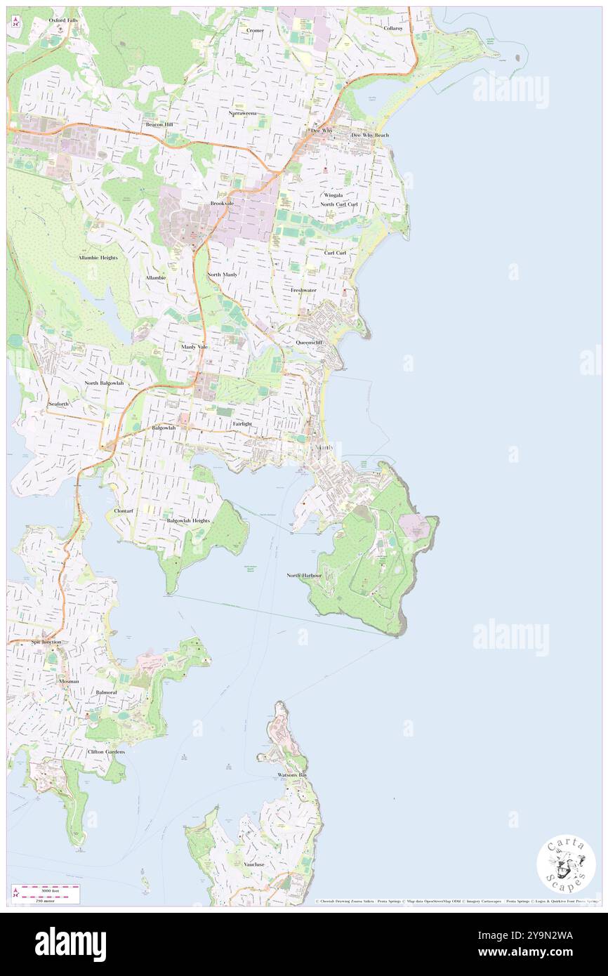 Beach cabbage Cut Out Stock Images & Pictures - Alamy