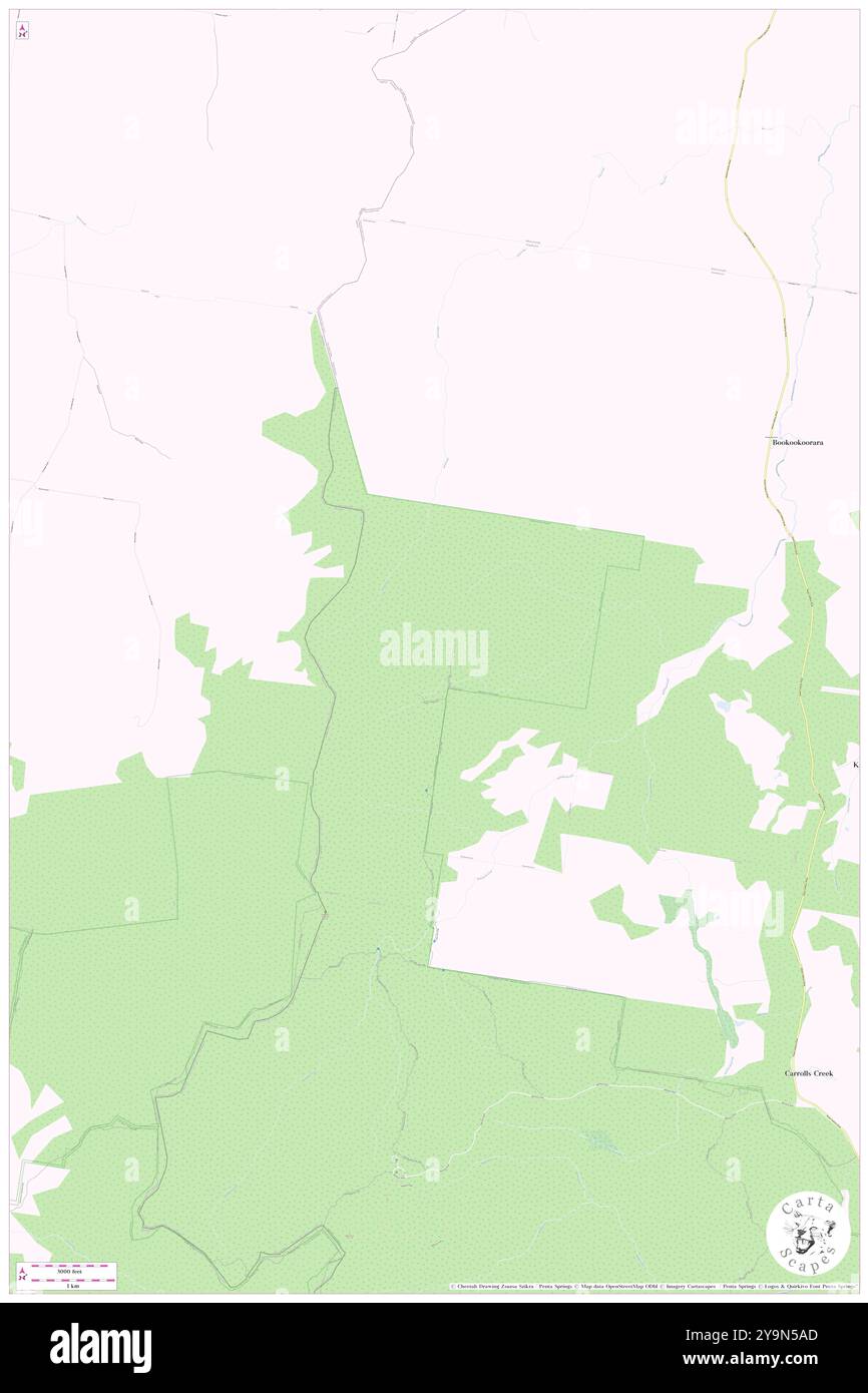 Jenner State Forest, Tenterfield Municipality, AU, Australia, New South ...