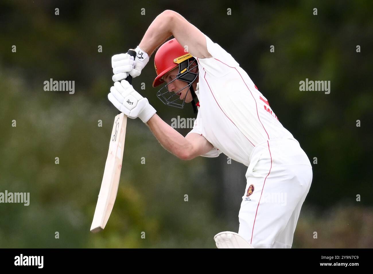 Sydney, Australia. 11th Oct, 2024. Nathan McSweeney of South Australia ...