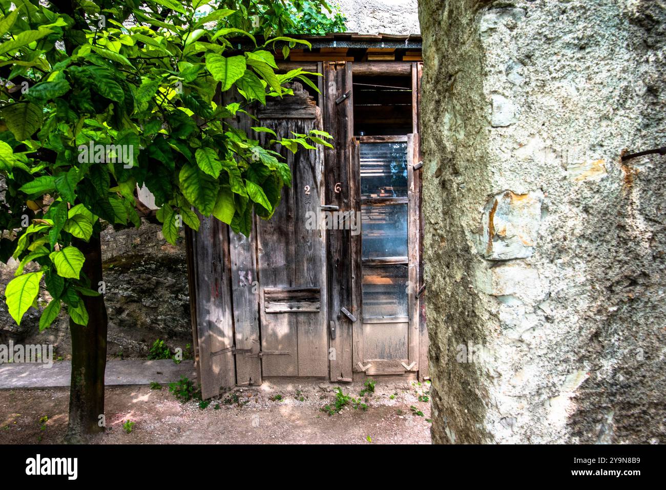interior of a wooden lemon house with green lemon trees in Gargnano ...