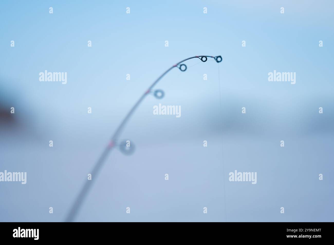 Shrimp on fish hook hi-res stock photography and images - Alamy