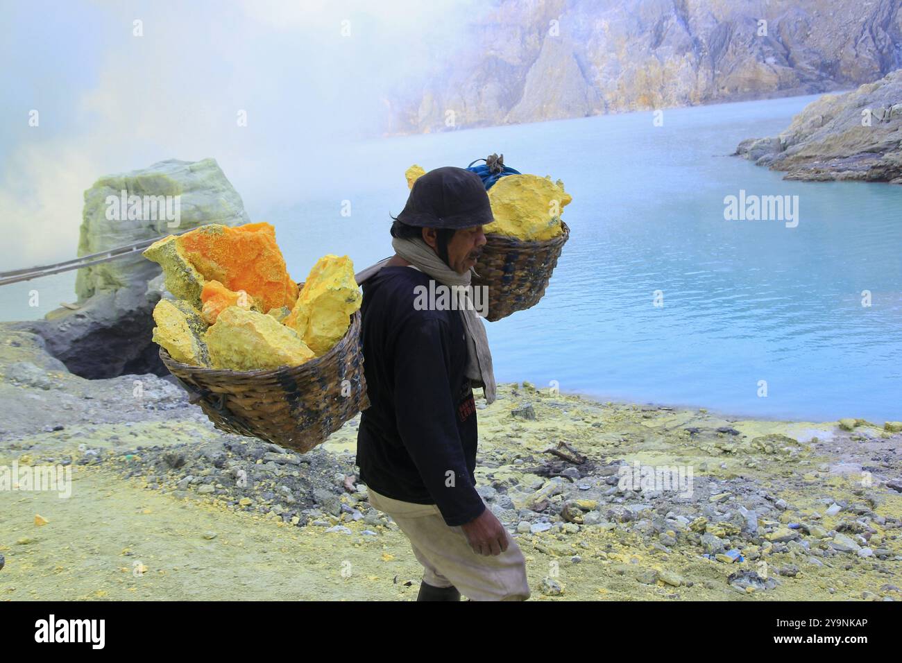 Sulfur miners in the Ijen crater carrying sulfur mining products ...