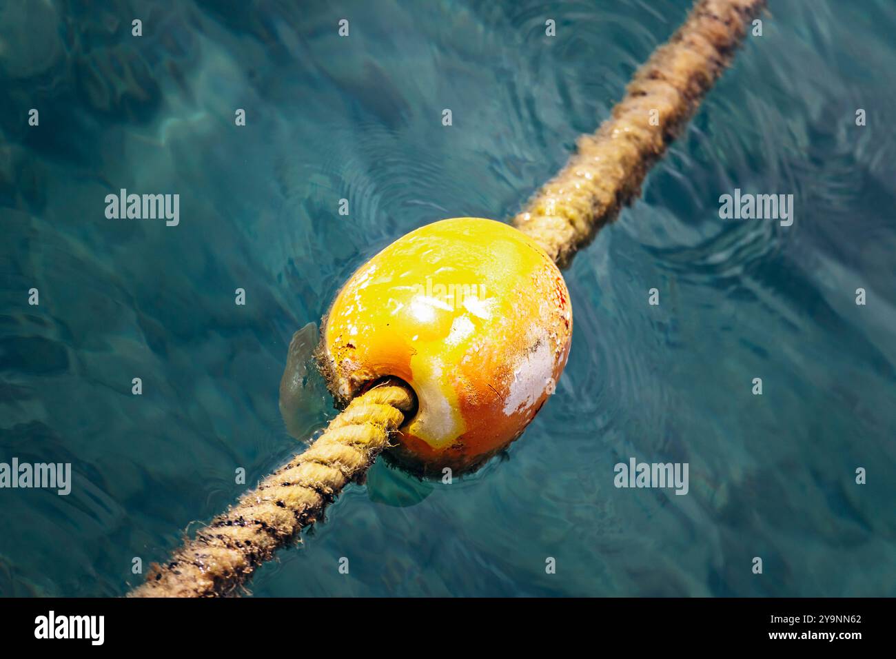 Floating rope in the sea Stock Photo - Alamy