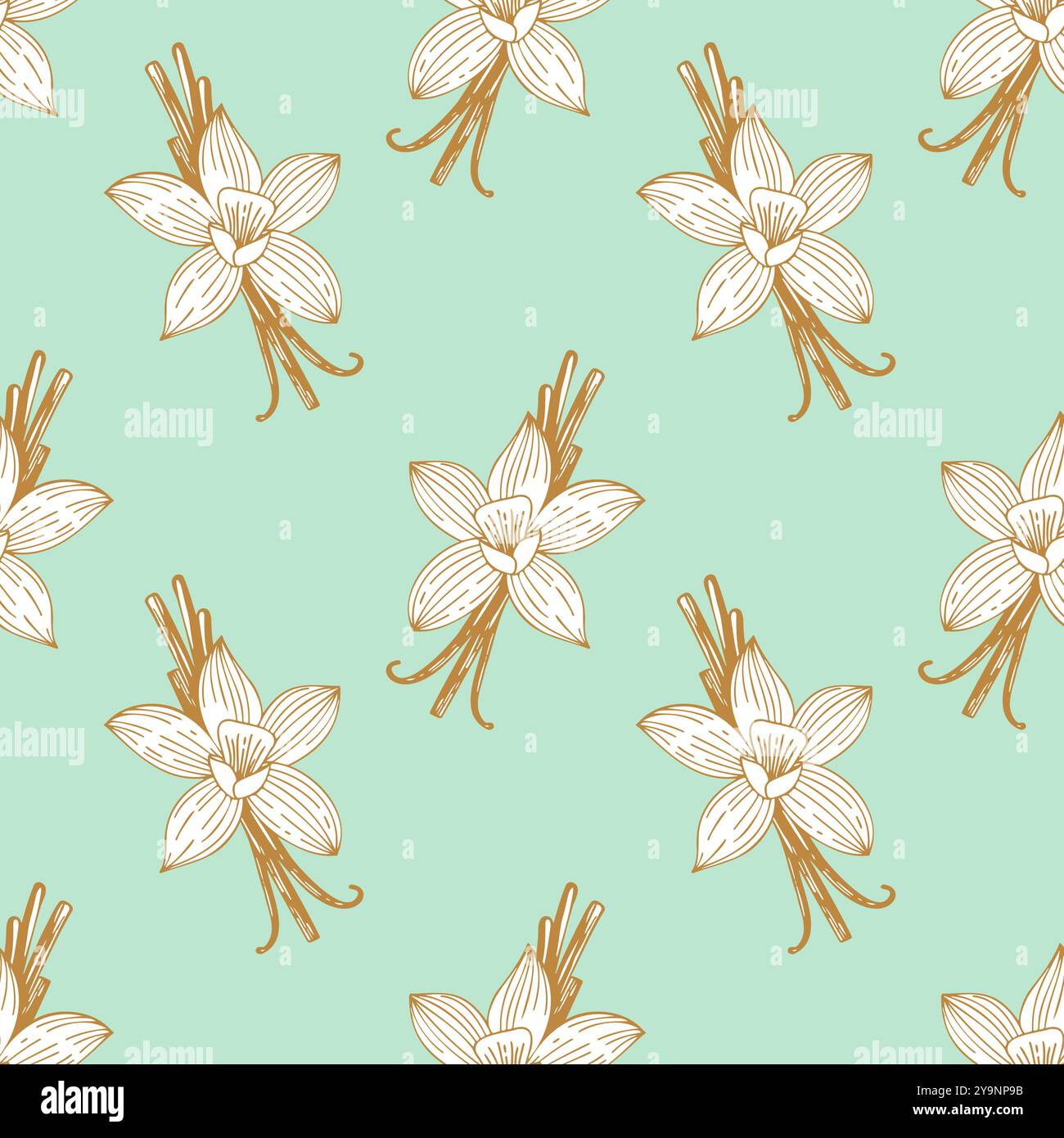 Light green pods Stock Vector Images - Alamy