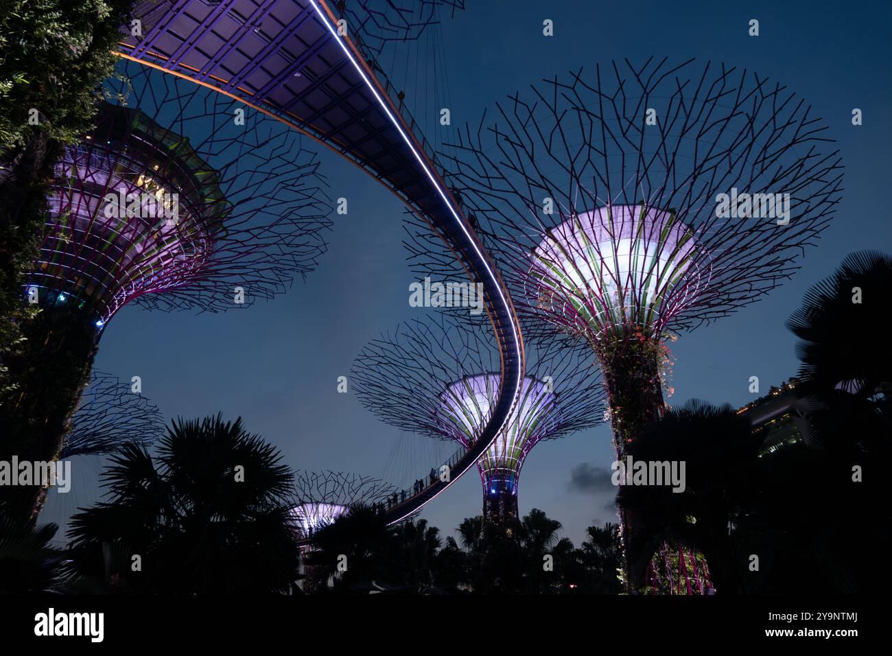Supertree garden at night, Garden by the Bay, Singapore Stock Photo - Alamy
