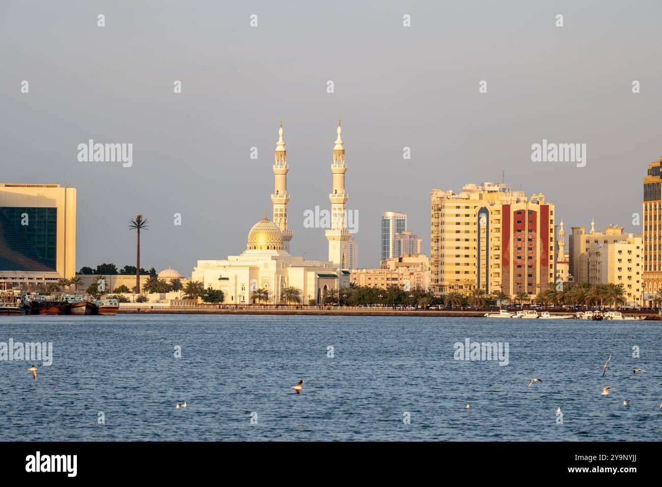 Layyah hi-res stock photography and images - Alamy