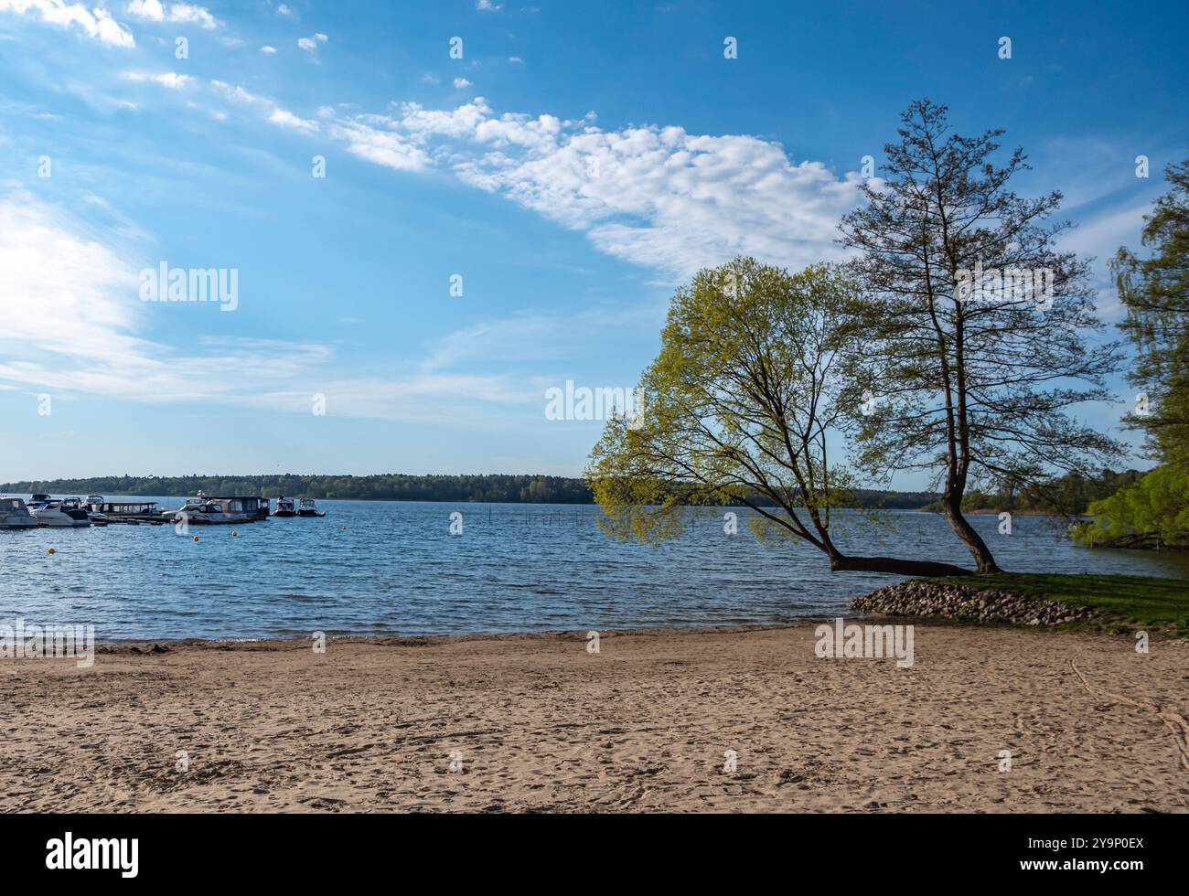 Landscape Mueritz National Park on the Mecklenburg Lake District in ...