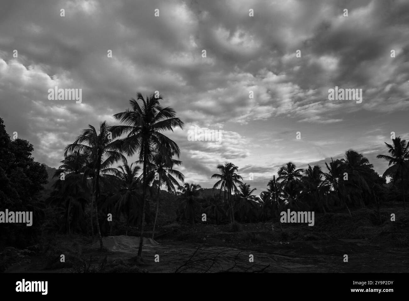 Sky beautiful scenic environment Black and White Stock Photos & Images ...