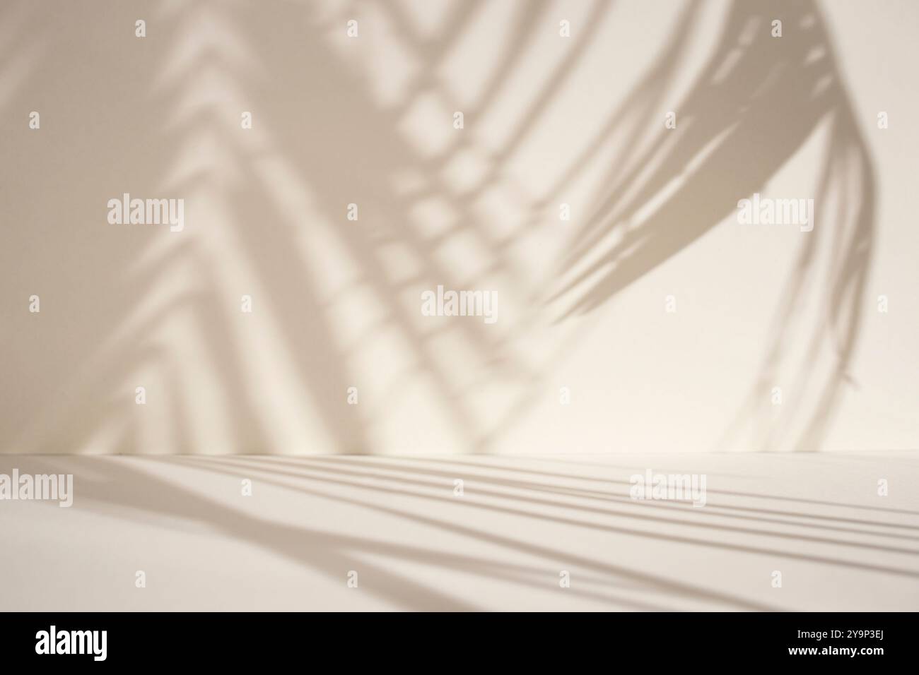 Exotic palm leaves shadows on beige gray paper corner background, plant ...